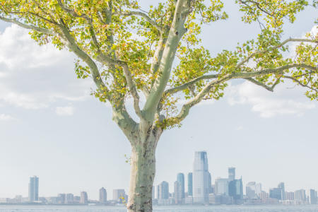 Gregory Spaid Photography and Other Projects